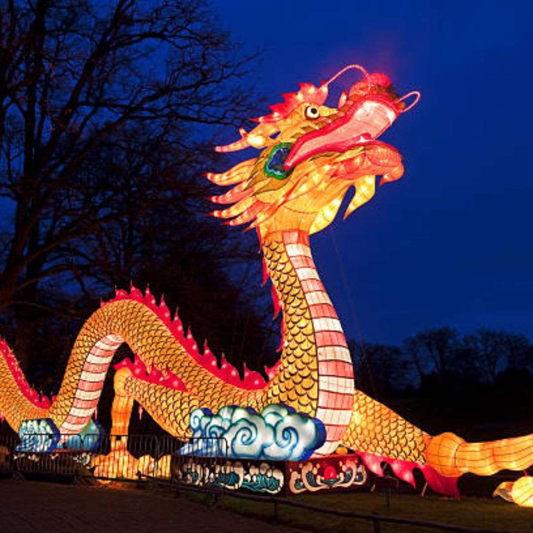 Hire LED Dragon in Singapore | Bella Entertainment