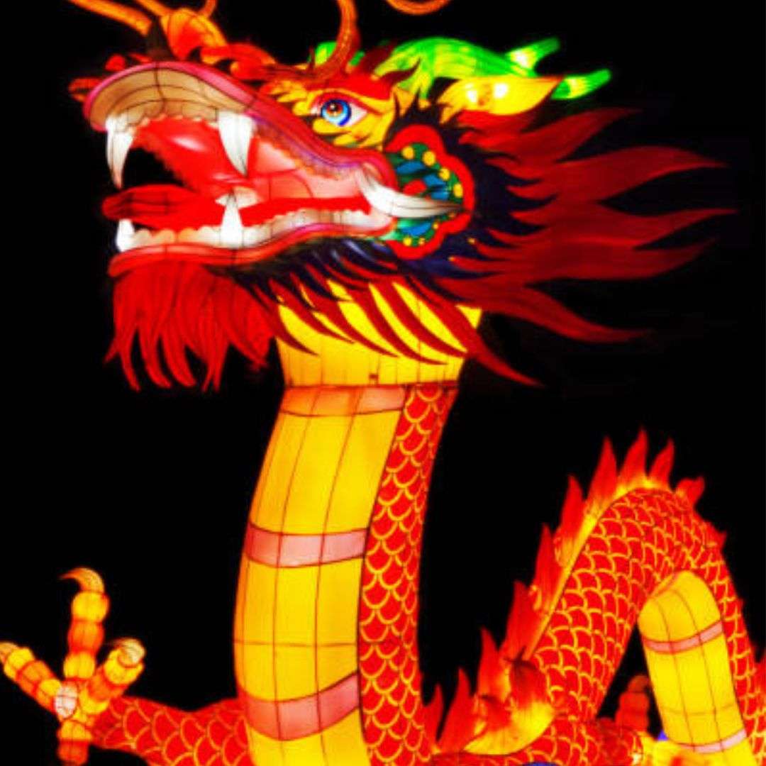 Hire LED Dragon in Singapore | Bella Entertainment