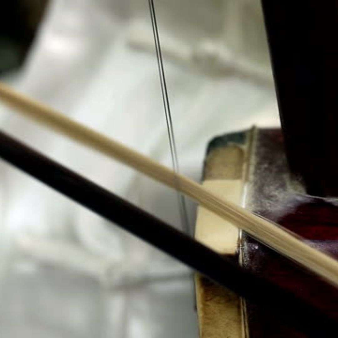 Hire Er Hu Player in Singapore | Bella Entertainment